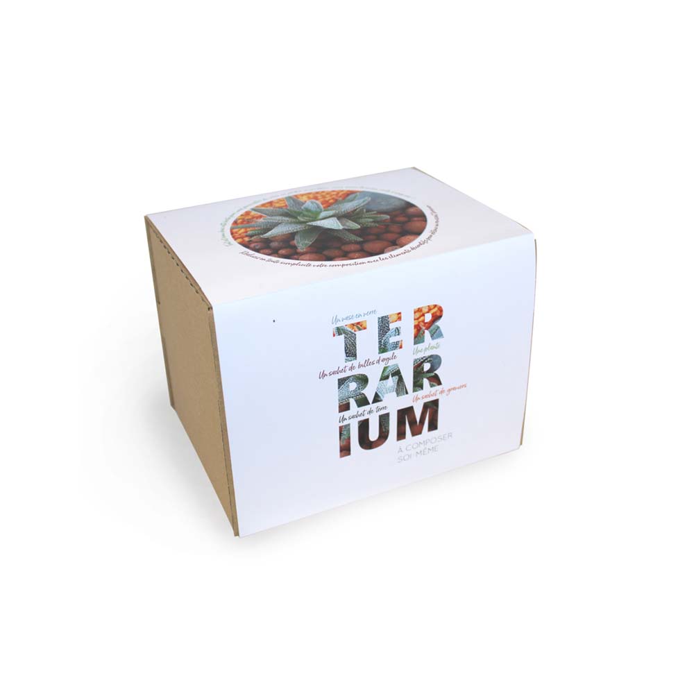 TERRARIUM PETIT MODÈLE ‘EPIC’ - Infinicom